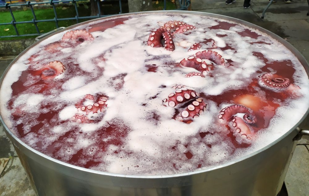 Polvo, o protagonista de um dos festivais gastronómicos mais ...
